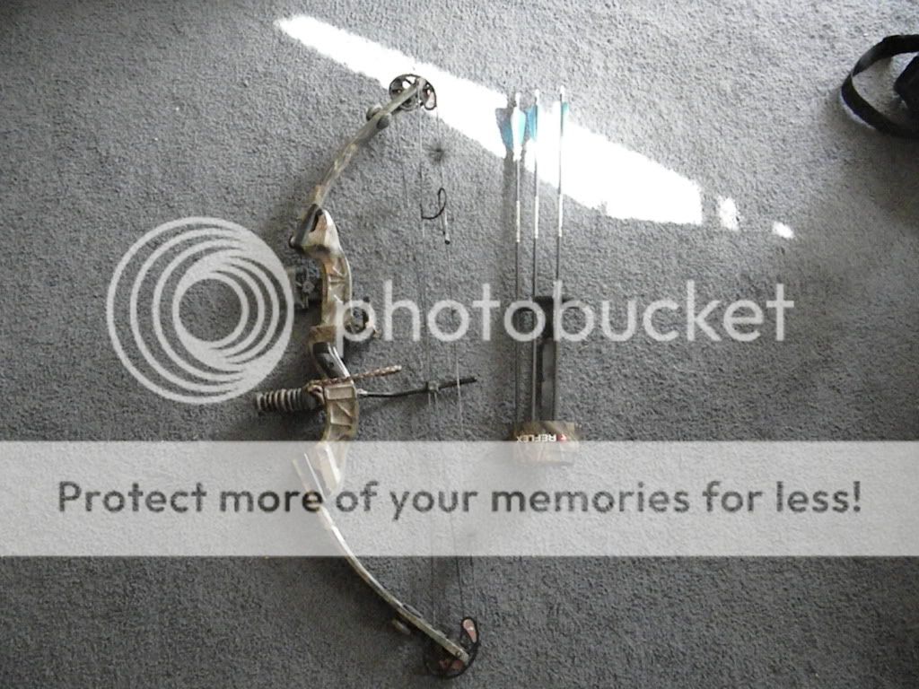 Reflex Gamegetter Compound Bow | Arkansas Hunting