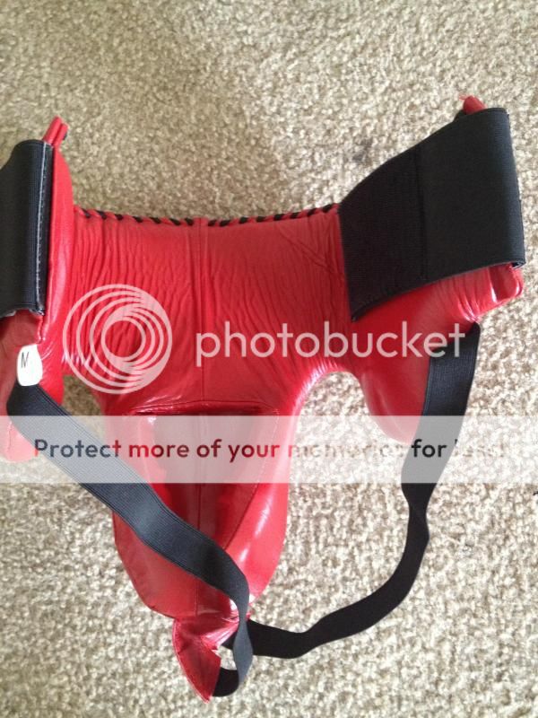 Everlast MX Pro Groin Protctor Review | Sherdog Forums | UFC, MMA ...